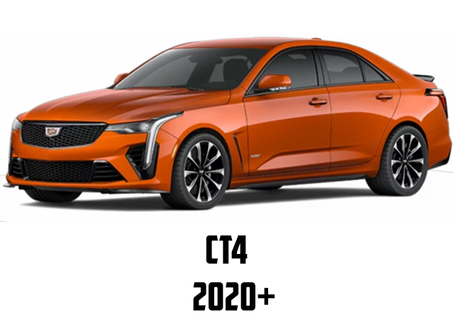 Bad News Racing | Wildhammer Motorsports